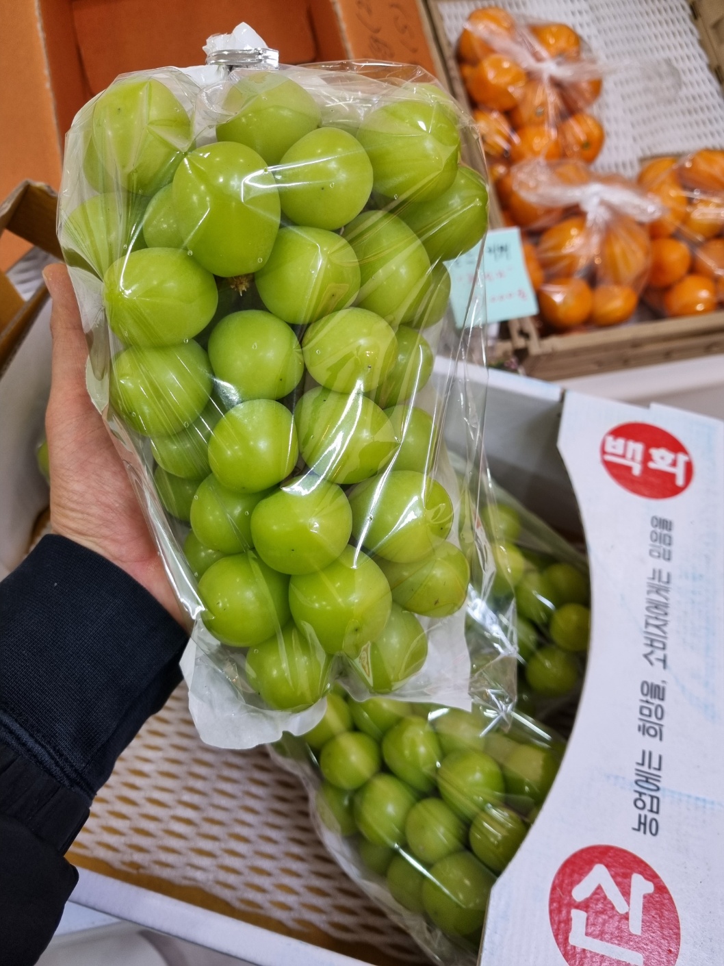 샤인머스켓 1박스 배민스토어