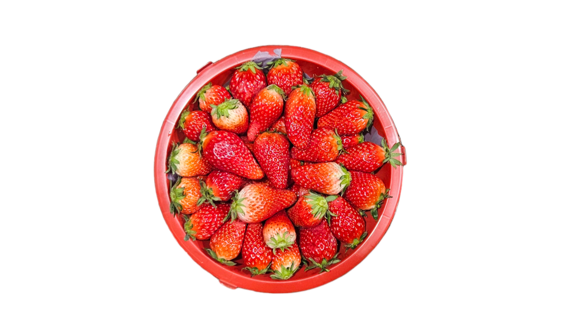 GAP 장희딸기 1kg (중) | 배민스토어