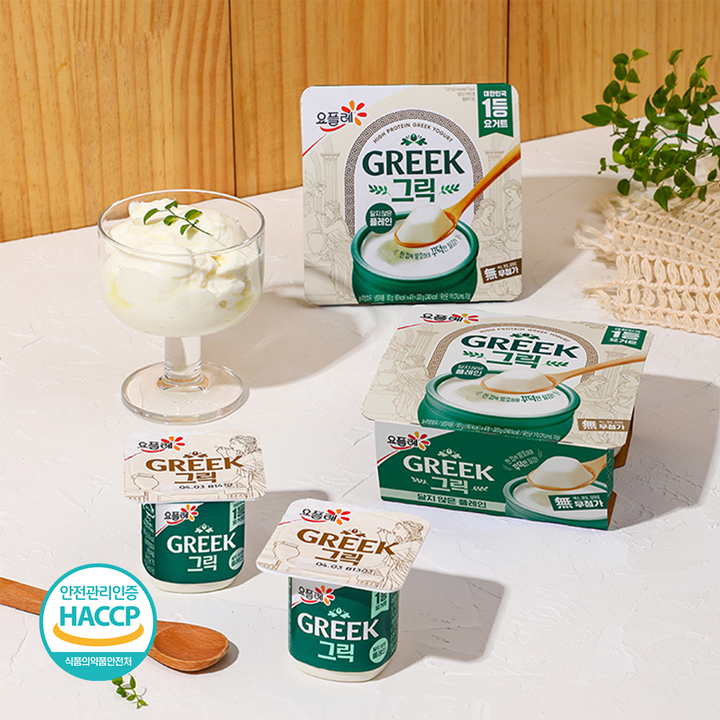 빙그레 요플레 그릭 달지않은 플레인 80gX4입 | 배민스토어