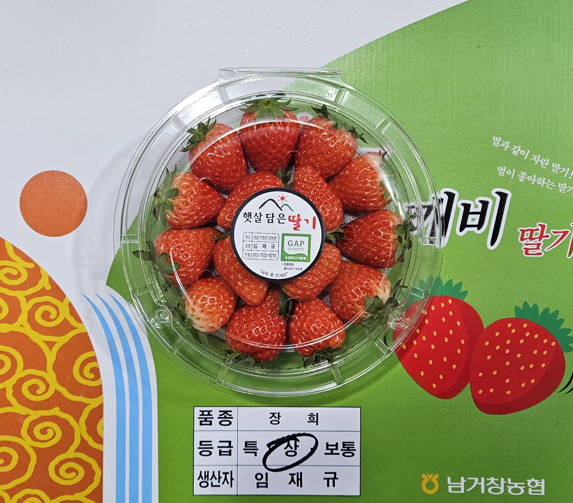 GAP 장희딸기 500g 1팩 | 배민스토어