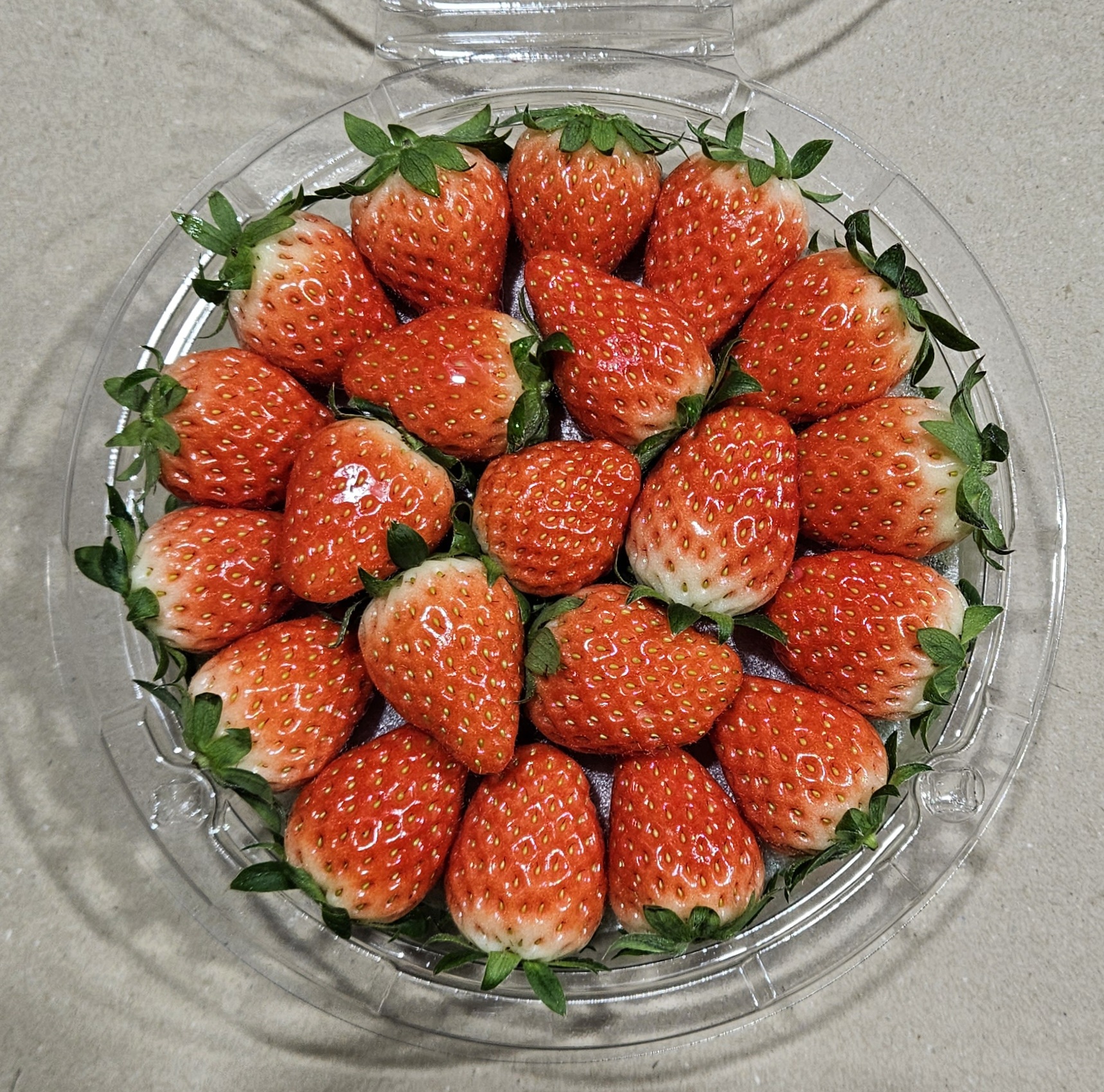 GAP 장희딸기 500g 1팩 | 배민스토어