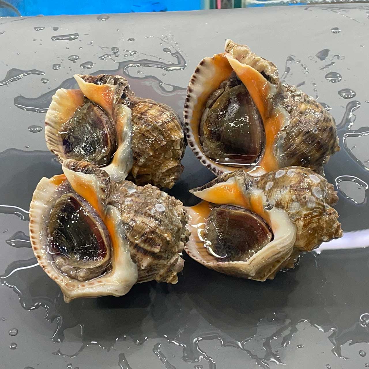 참소라 1kg 배민스토어