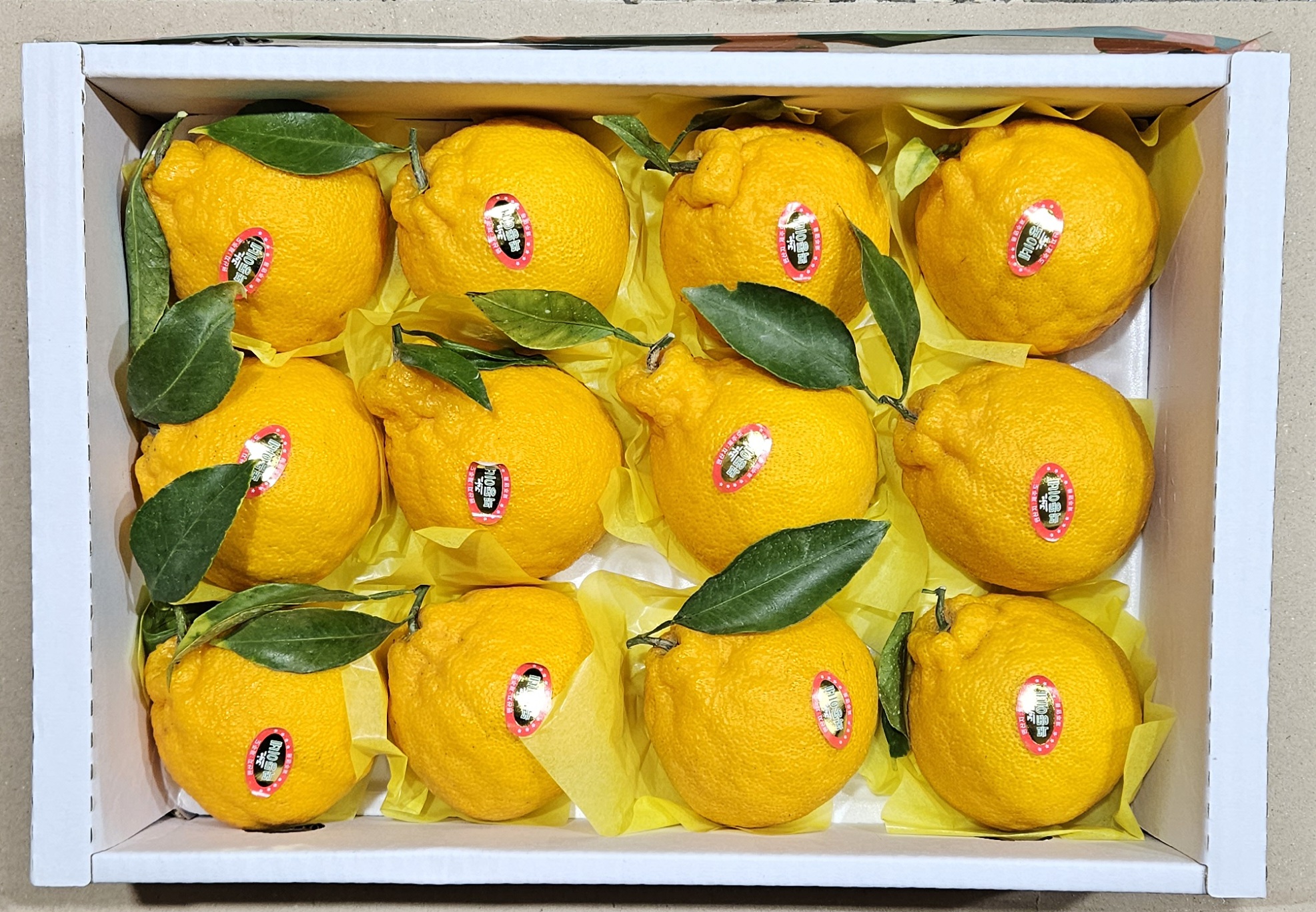 제주 한라봉 3kg 1박스 (12수) | 배민스토어