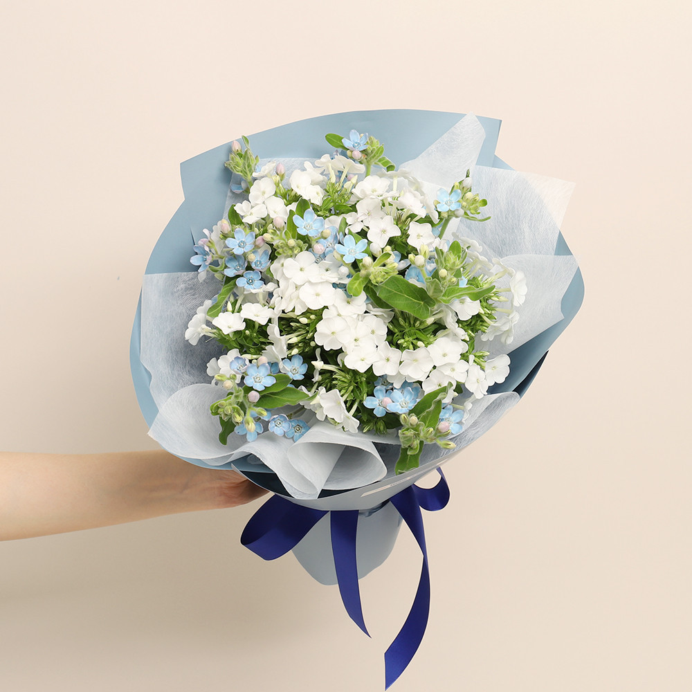 플록스and옥시 블루밍 꽃다발 배민 장보기∙쇼핑