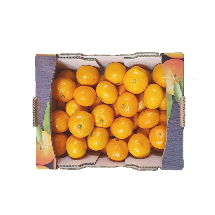 서귀포 타이벡감귤(3kg/박스) | 배민 장보기∙쇼핑