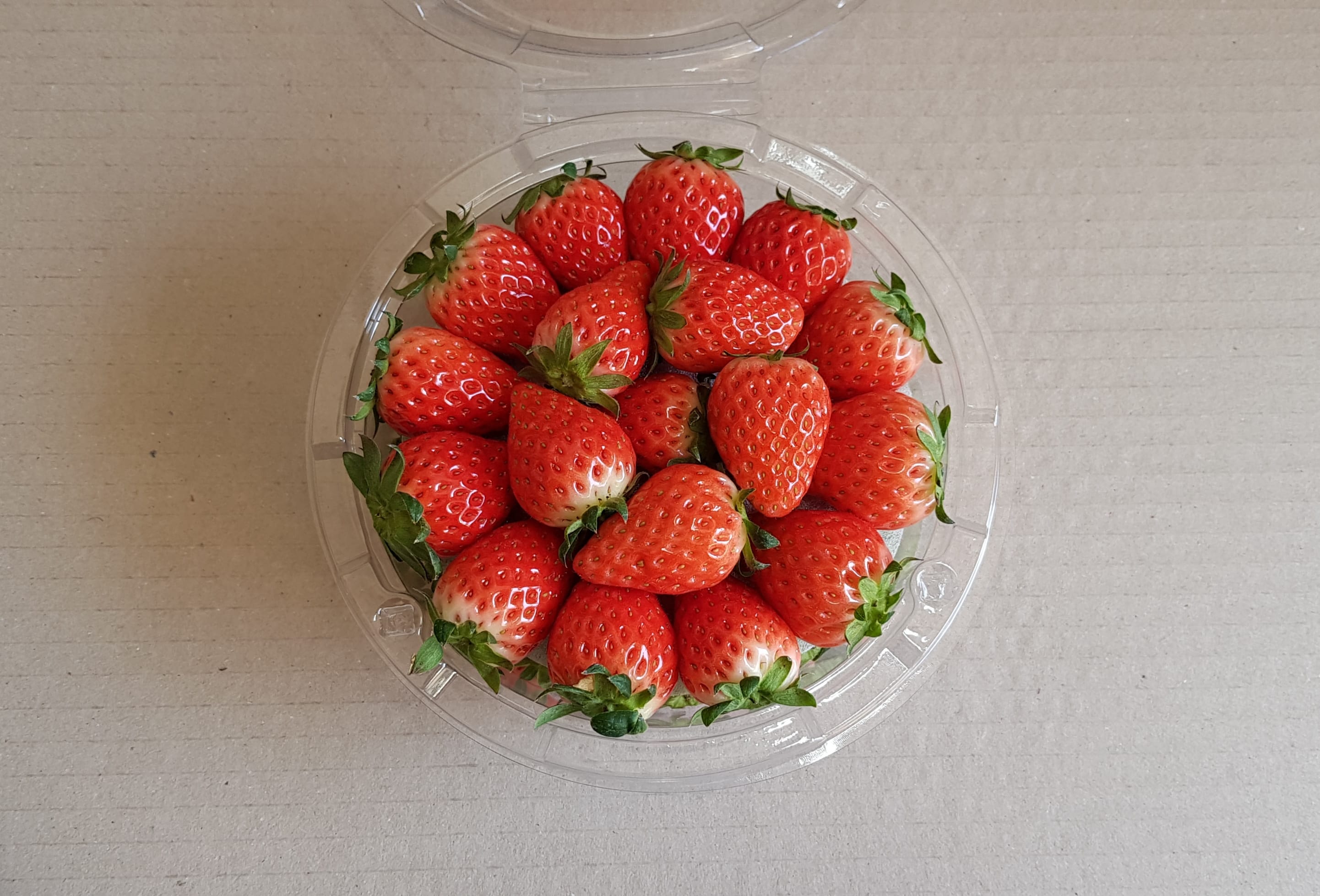 GAP 장희딸기 500g 1팩 | 배민스토어